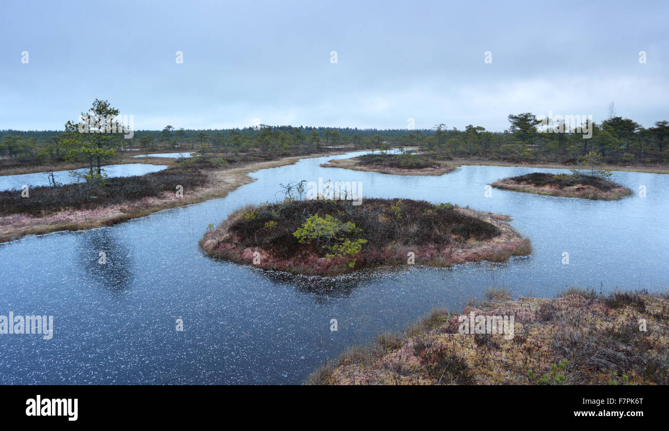 Frozen bog hi-res stock photography and images - Alamy