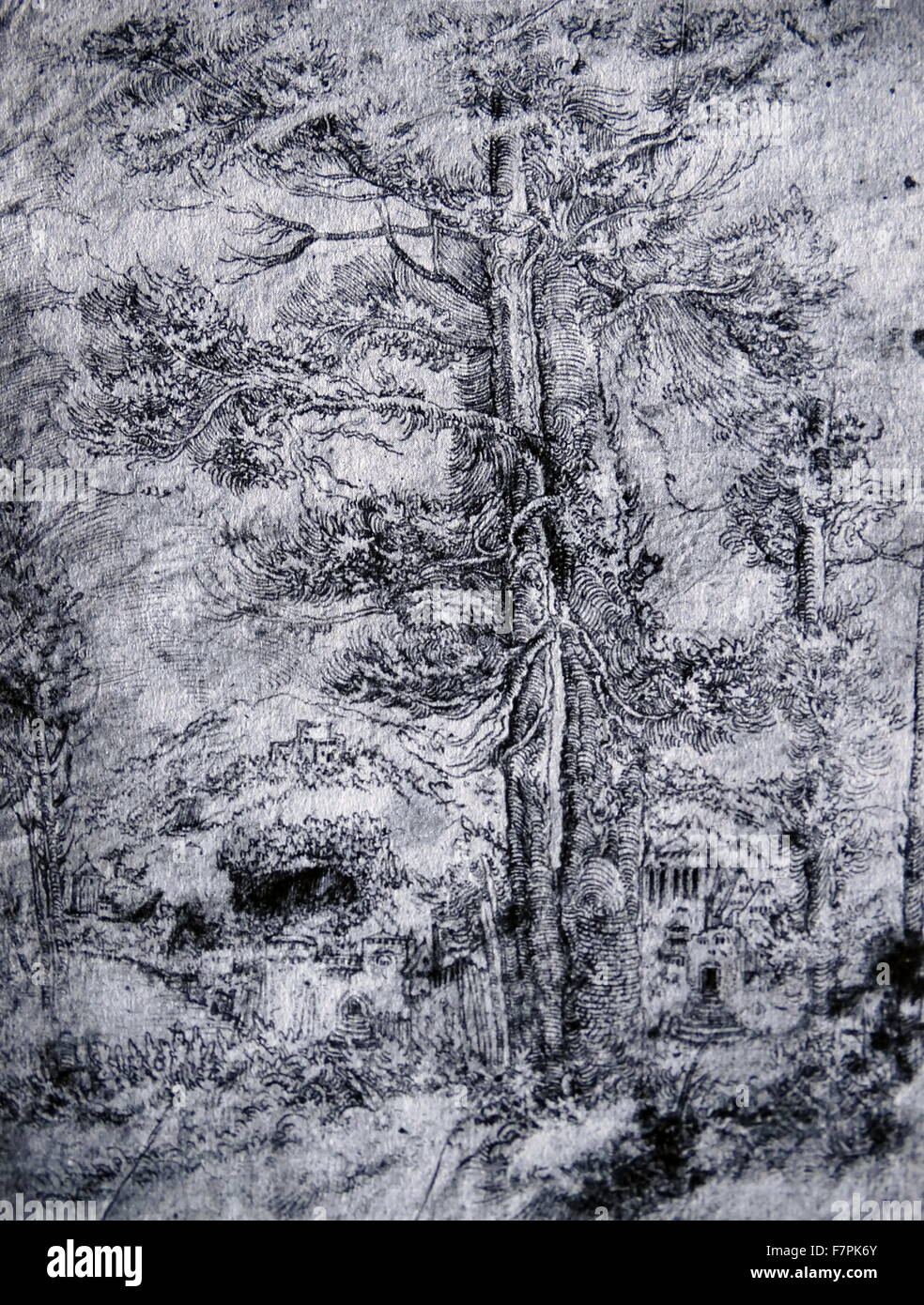 Landscape (pen drawing) by Wolf Huber (1485-1553) Austrian painter ...