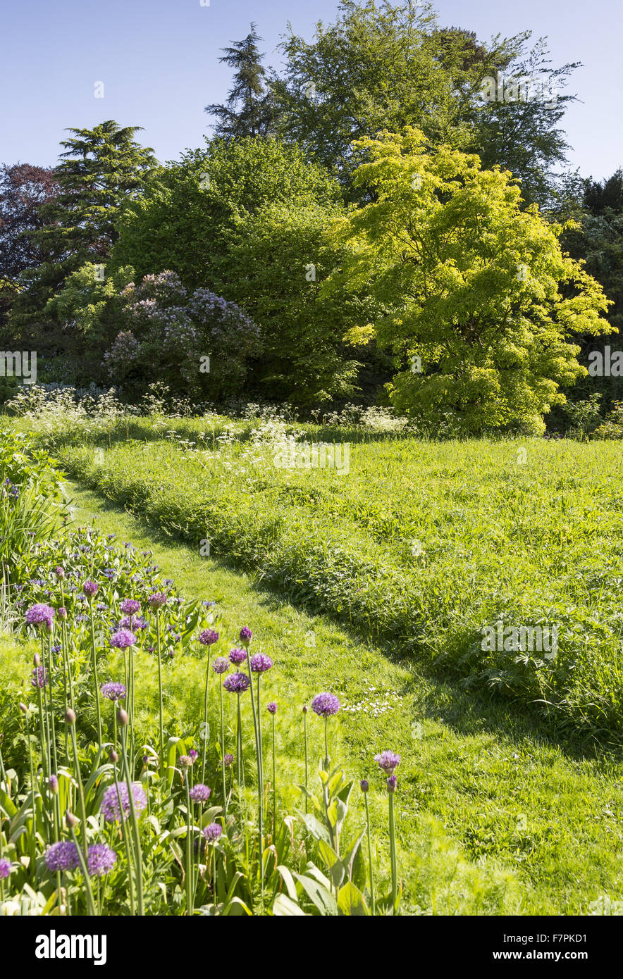 A mowed path around the garden at Shaw's Corner, Hertfordshire Stock ...