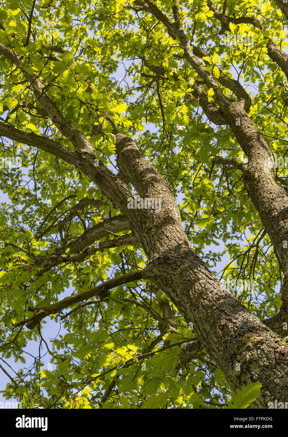 Shaw's corner hertfordshire hi-res stock photography and images - Alamy