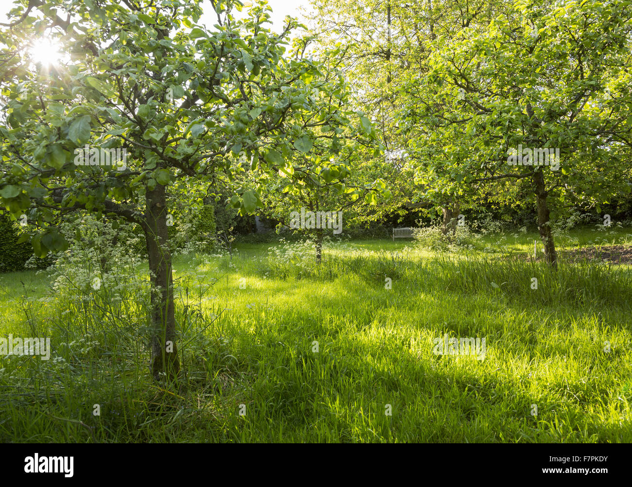 Shaw's corner hertfordshire hi-res stock photography and images - Alamy