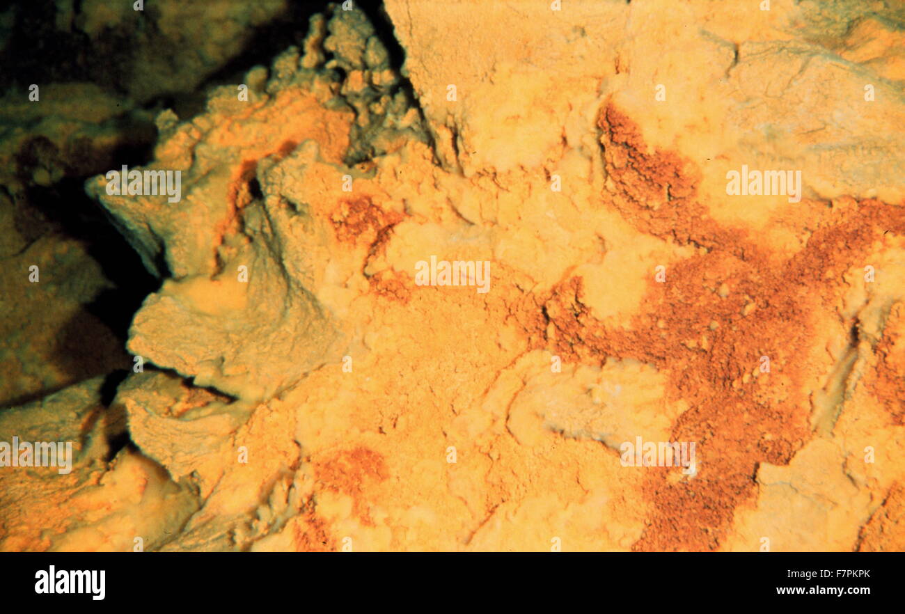 Yellow iron oxide lava rock loihi submarine volcano volcanic ...