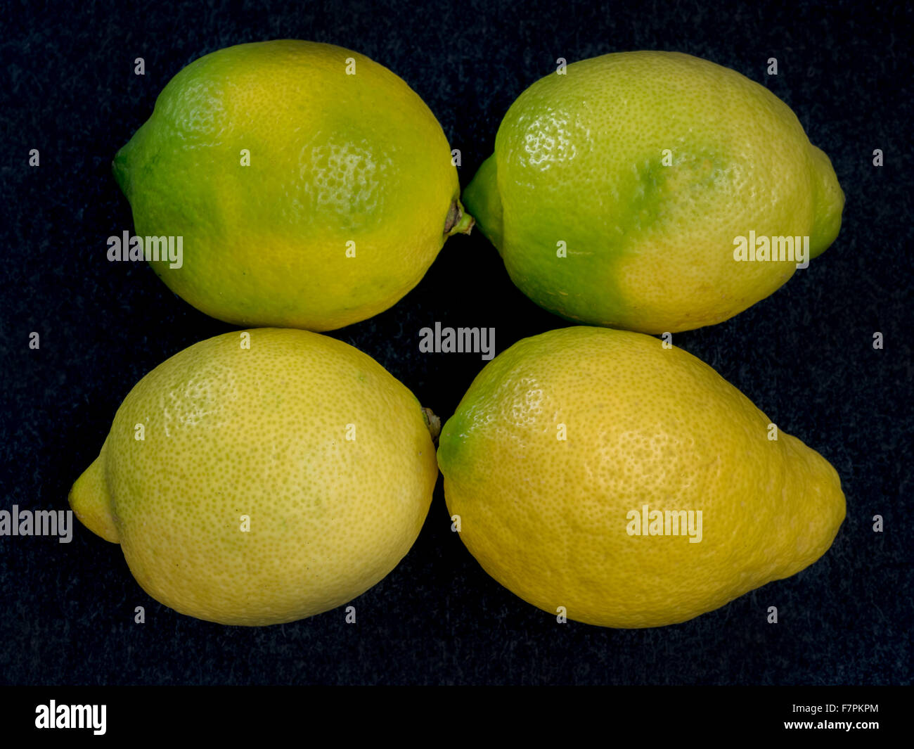 Four ripe lemons in rows Stock Photo - Alamy