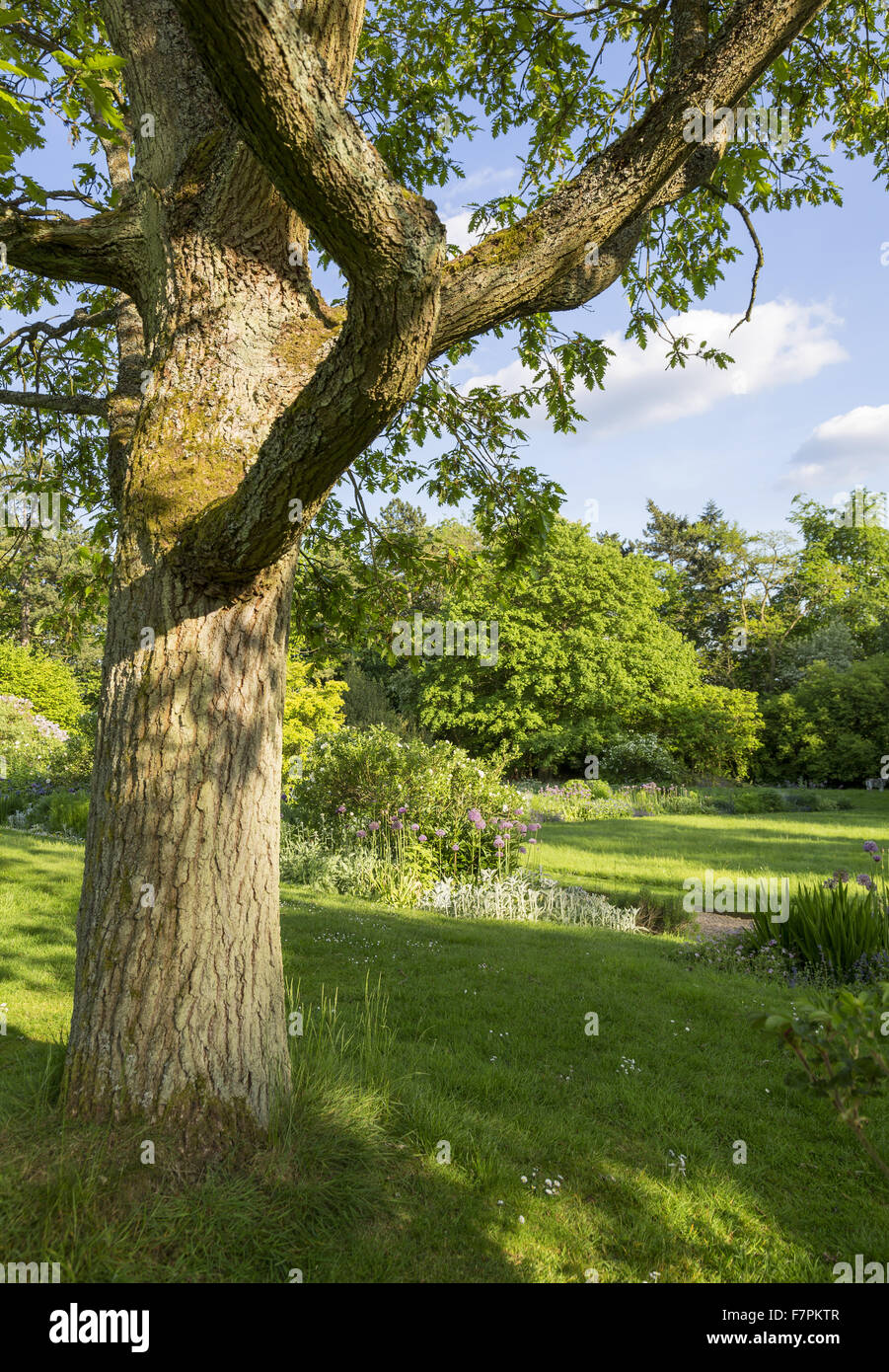 Shaw's corner hertfordshire hi-res stock photography and images - Alamy