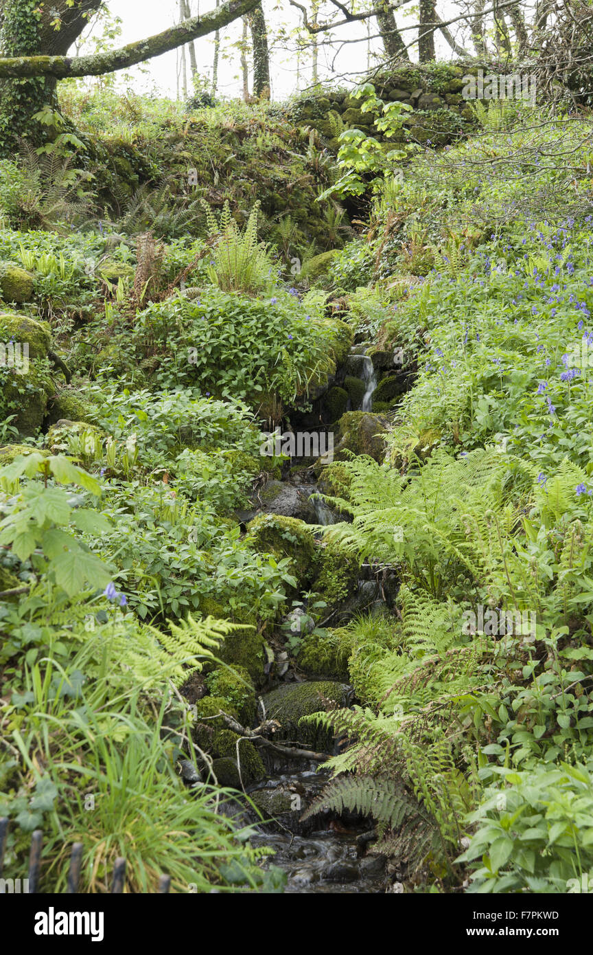 Stream running across hi-res stock photography and images - Alamy