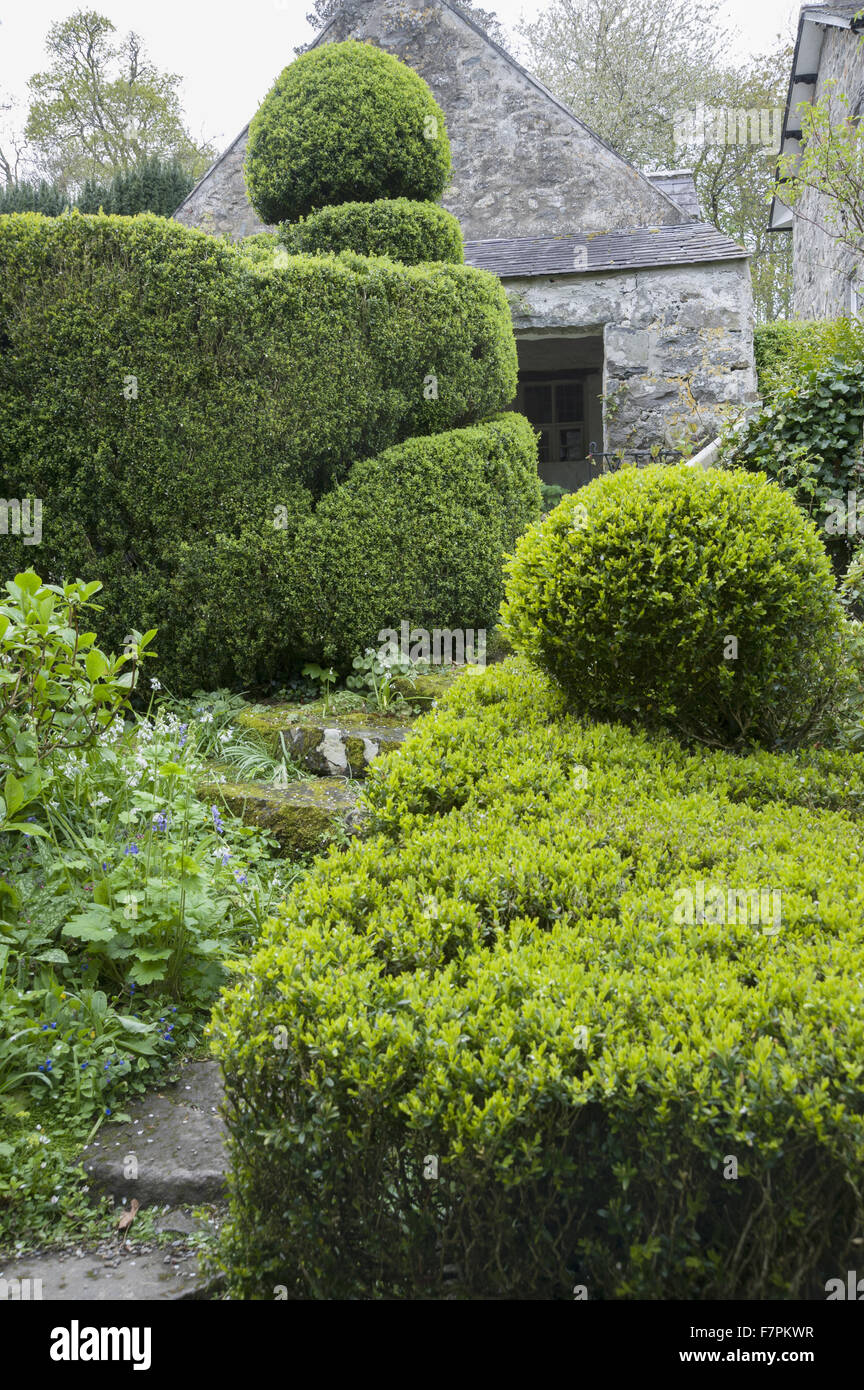 Box hedges hi-res stock photography and images - Alamy