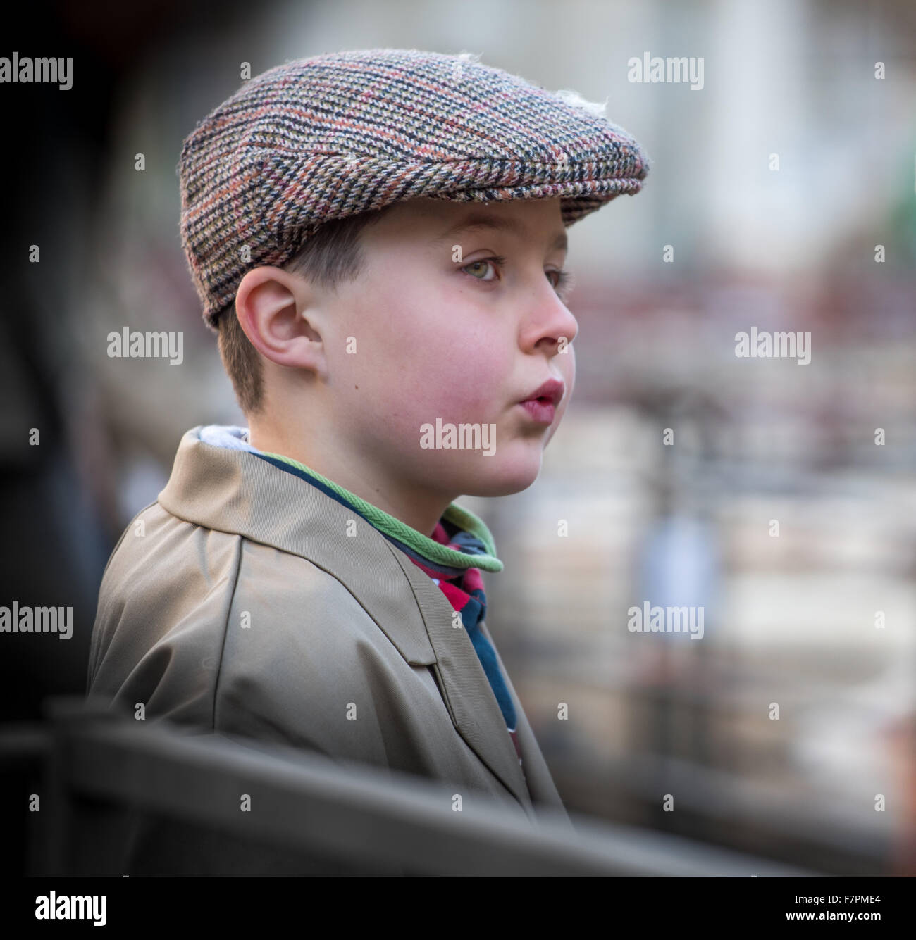 Uppingham fatstock show hi-res stock photography and images - Alamy