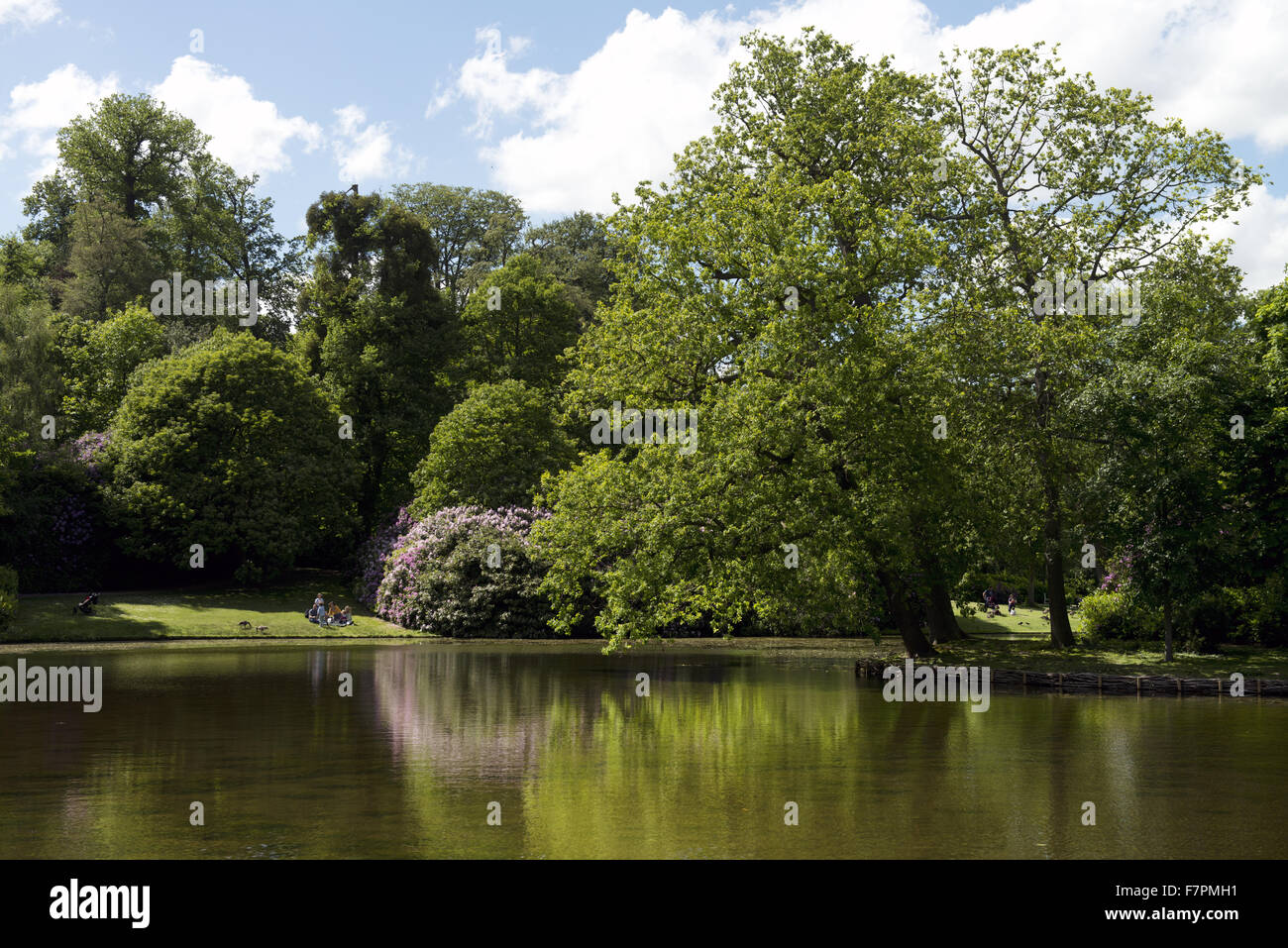 The lake at Claremont Landscape Garden, Surrey Stock Photo - Alamy