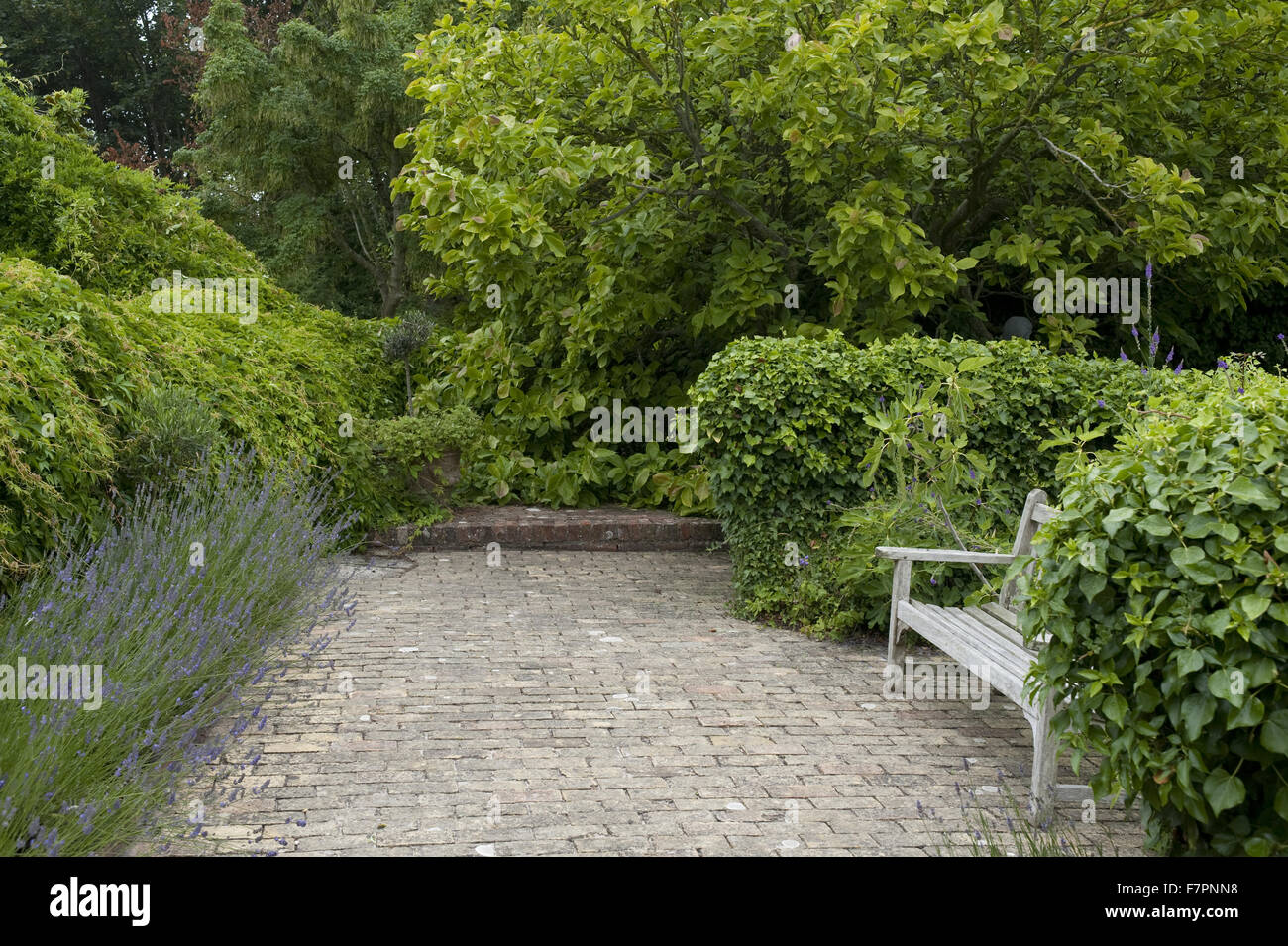 The garden in the summer at Monk's House, East Sussex. Monk's House was ...