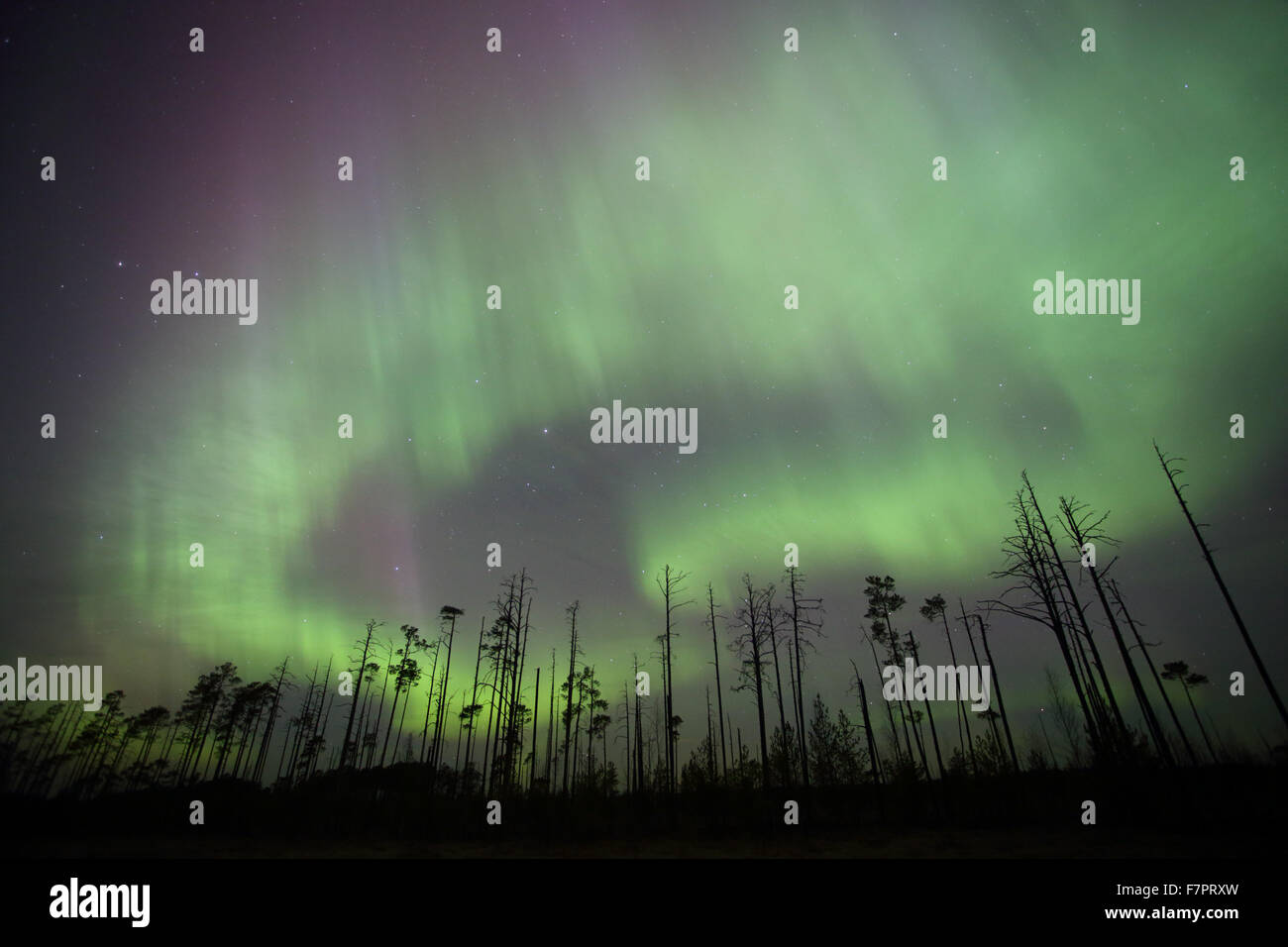 Northern lights over baltic hi-res stock photography and images - Alamy