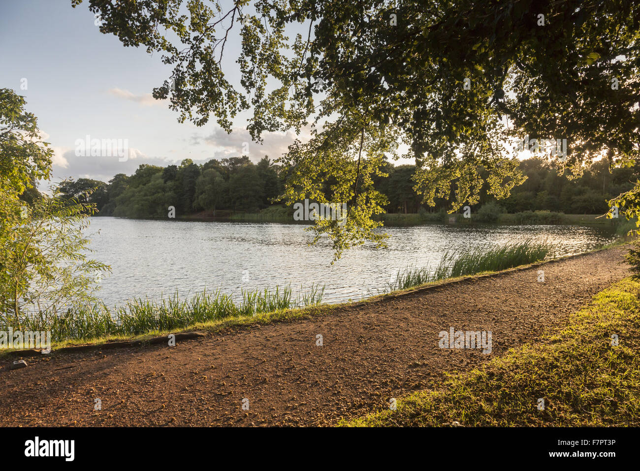 A lake in the grounds of Nostell Priory and Parkland, West Yorkshire ...