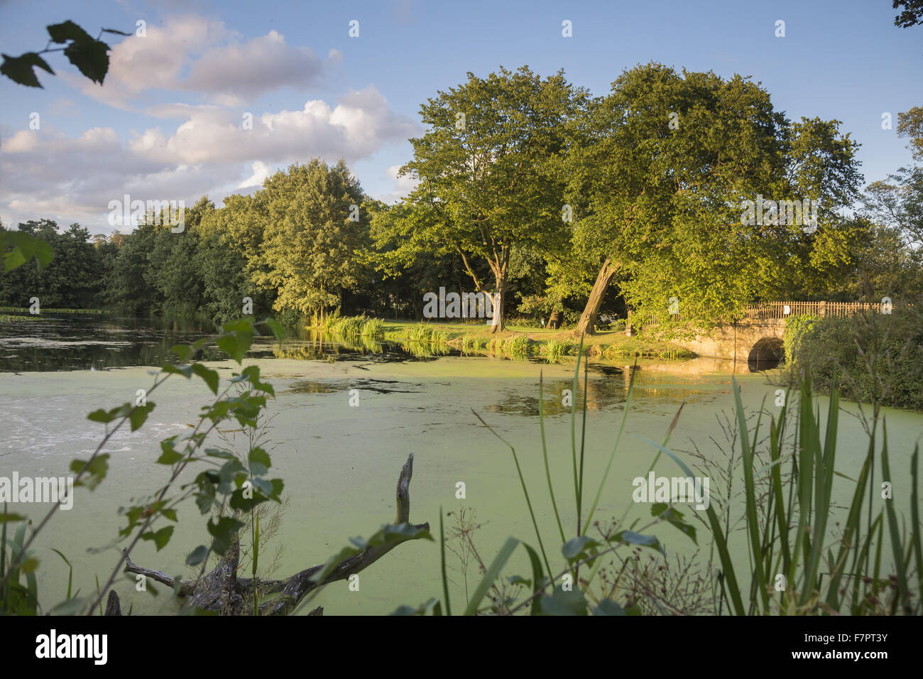 A lake in the grounds of Nostell Priory and Parkland, West Yorkshire ...