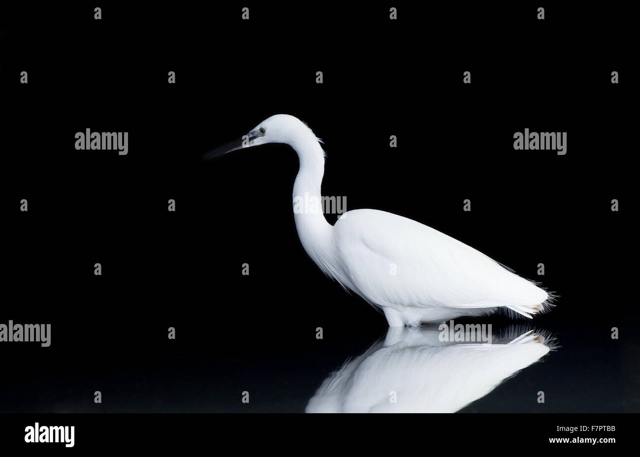 Deep shadow hi-res stock photography and images - Alamy