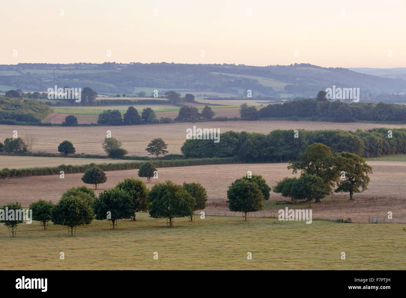 View across fields from the parkland at Killerton, Devon, with Dartmoor ...