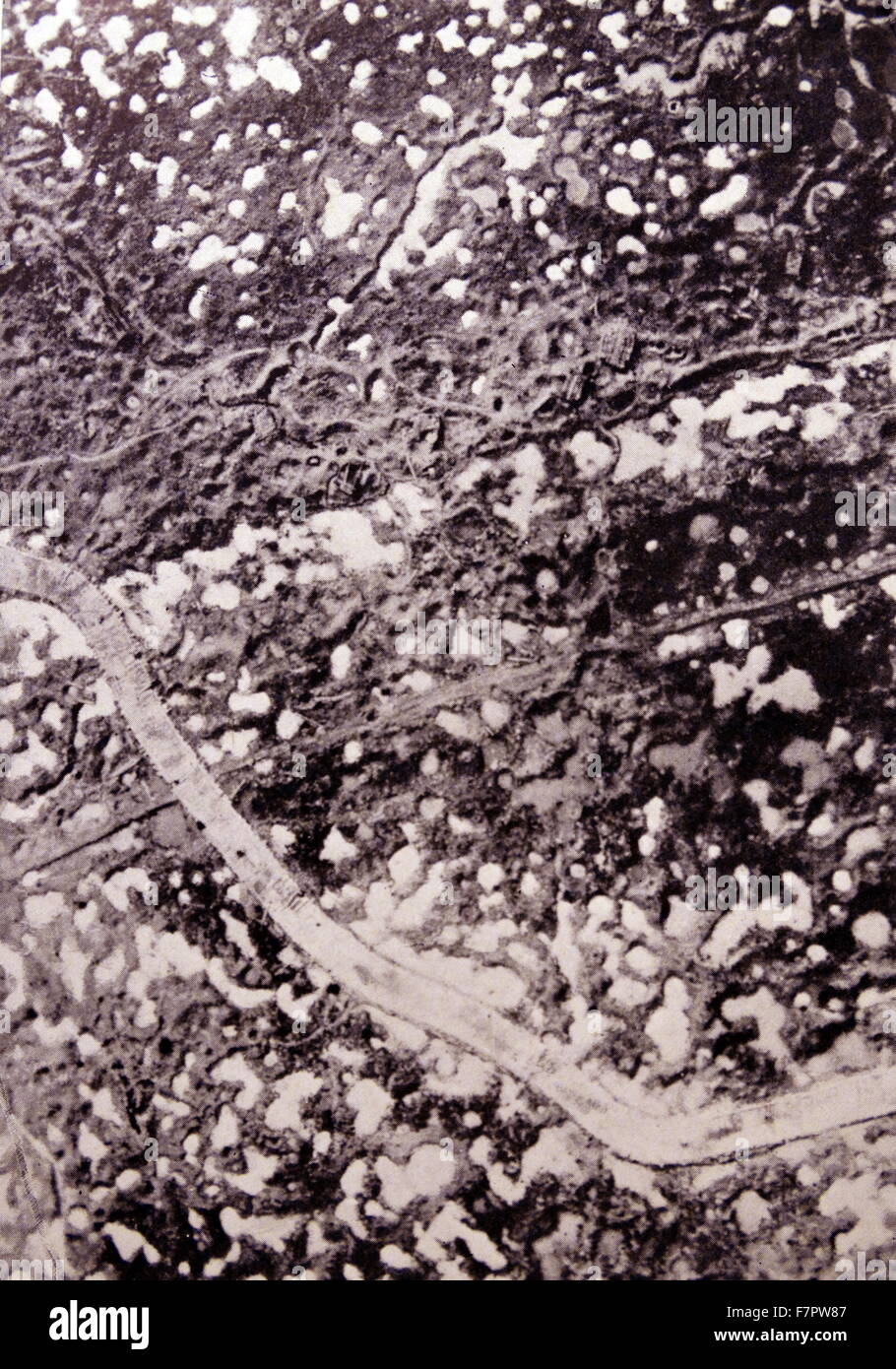 mud fields of Flanders during the prolonged World War One, During the ...