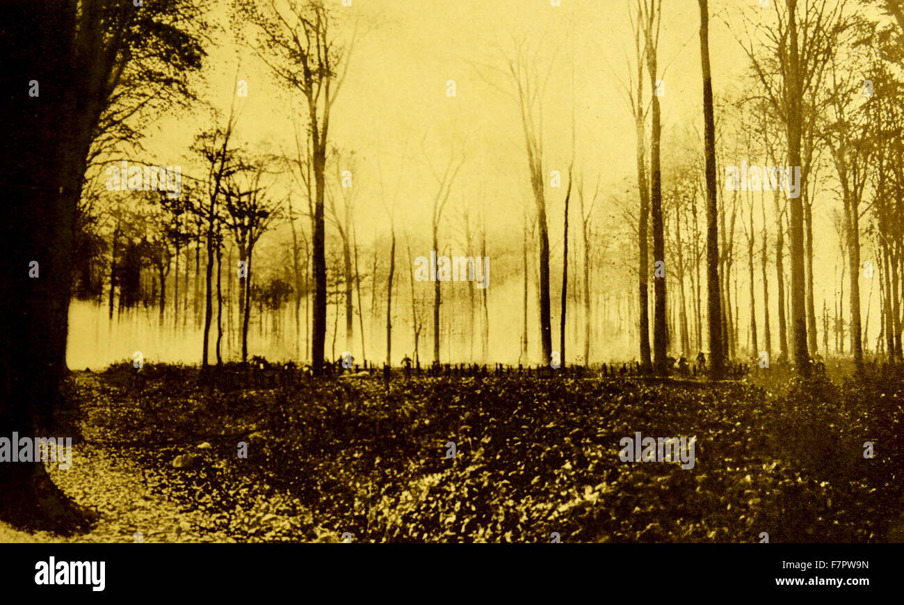 World war One: German troops run through a forest at dusk towards a ...