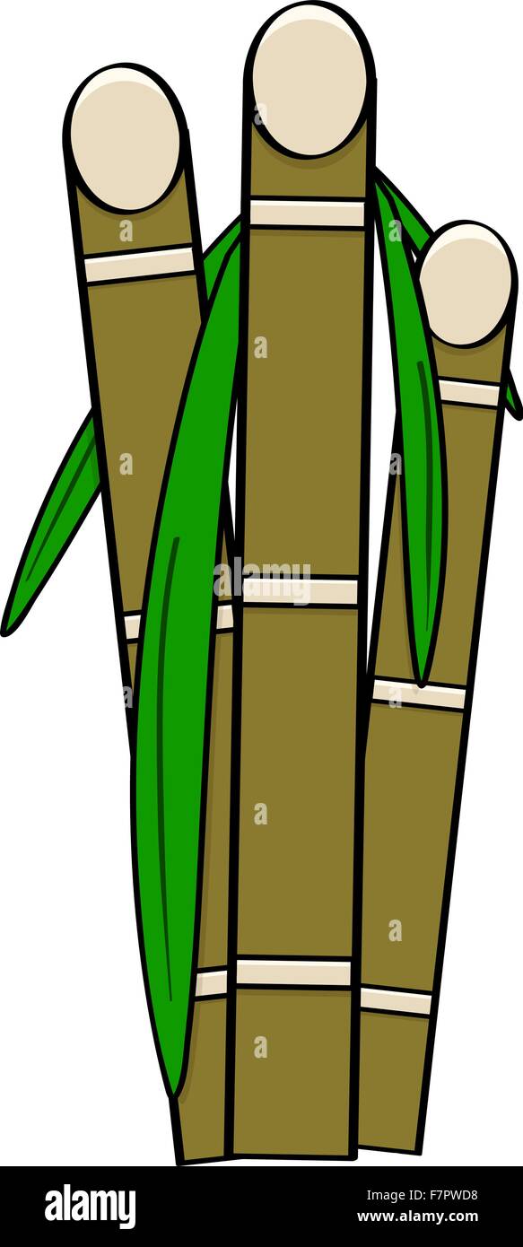 Sugar Cane Drawing Stock Photos & Sugar Cane Drawing Stock Images - Alamy