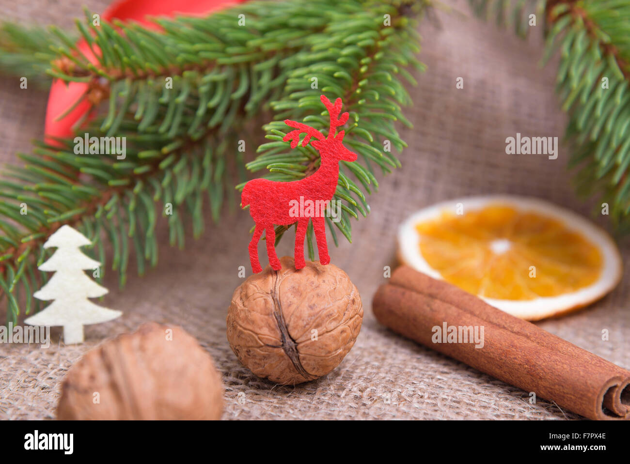 Christmas red reindeer Stock Photo - Alamy