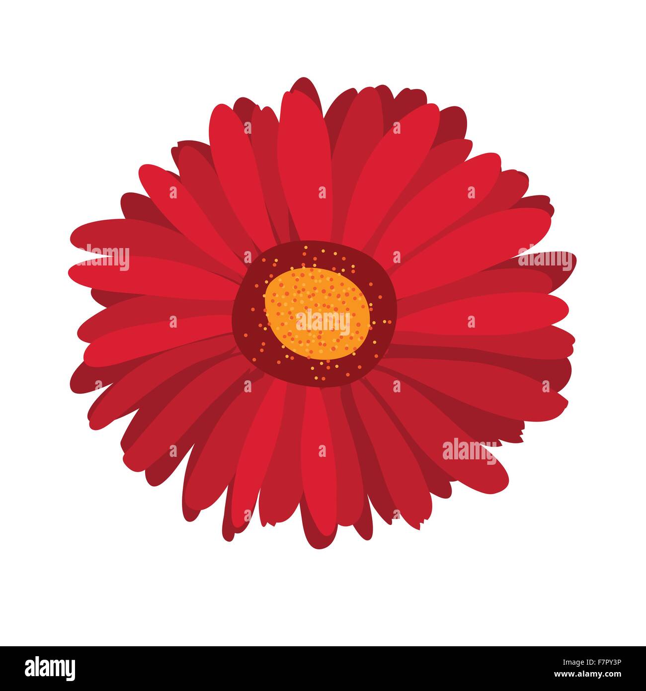 Large pink chrysanthemum Cut Out Stock Images & Pictures - Alamy