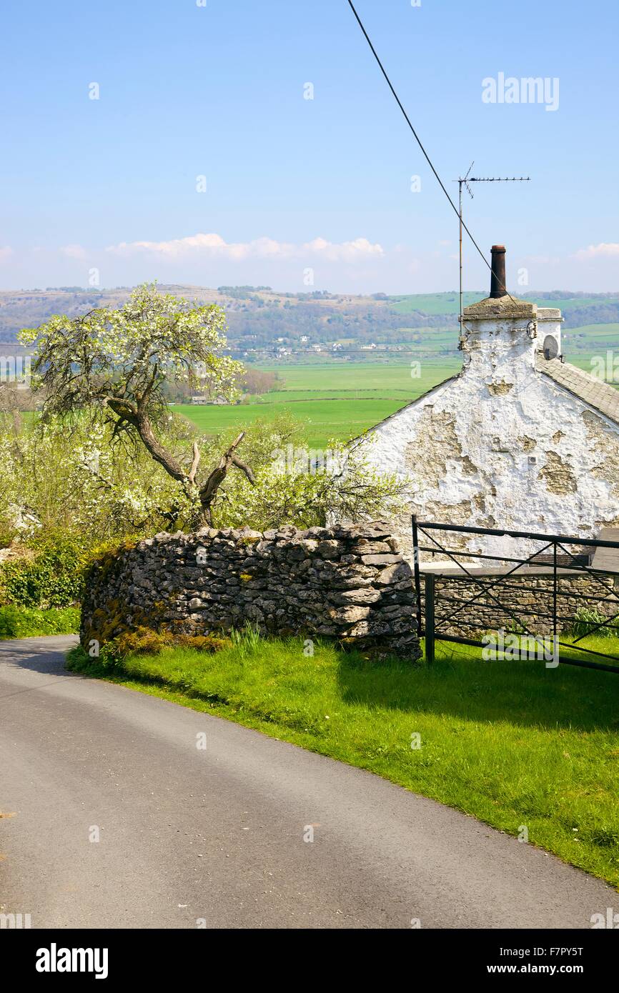 Lyth Valley. Road going through The Howe village with damson trees in ...
