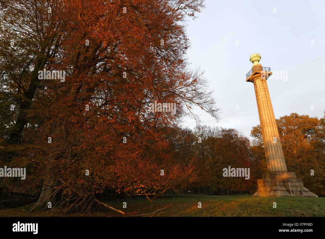 Autumn trees surrounding the Bridgewater Monument, on the Ashridge ...