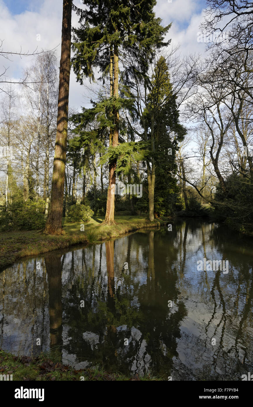 Stewponds hi-res stock photography and images - Alamy