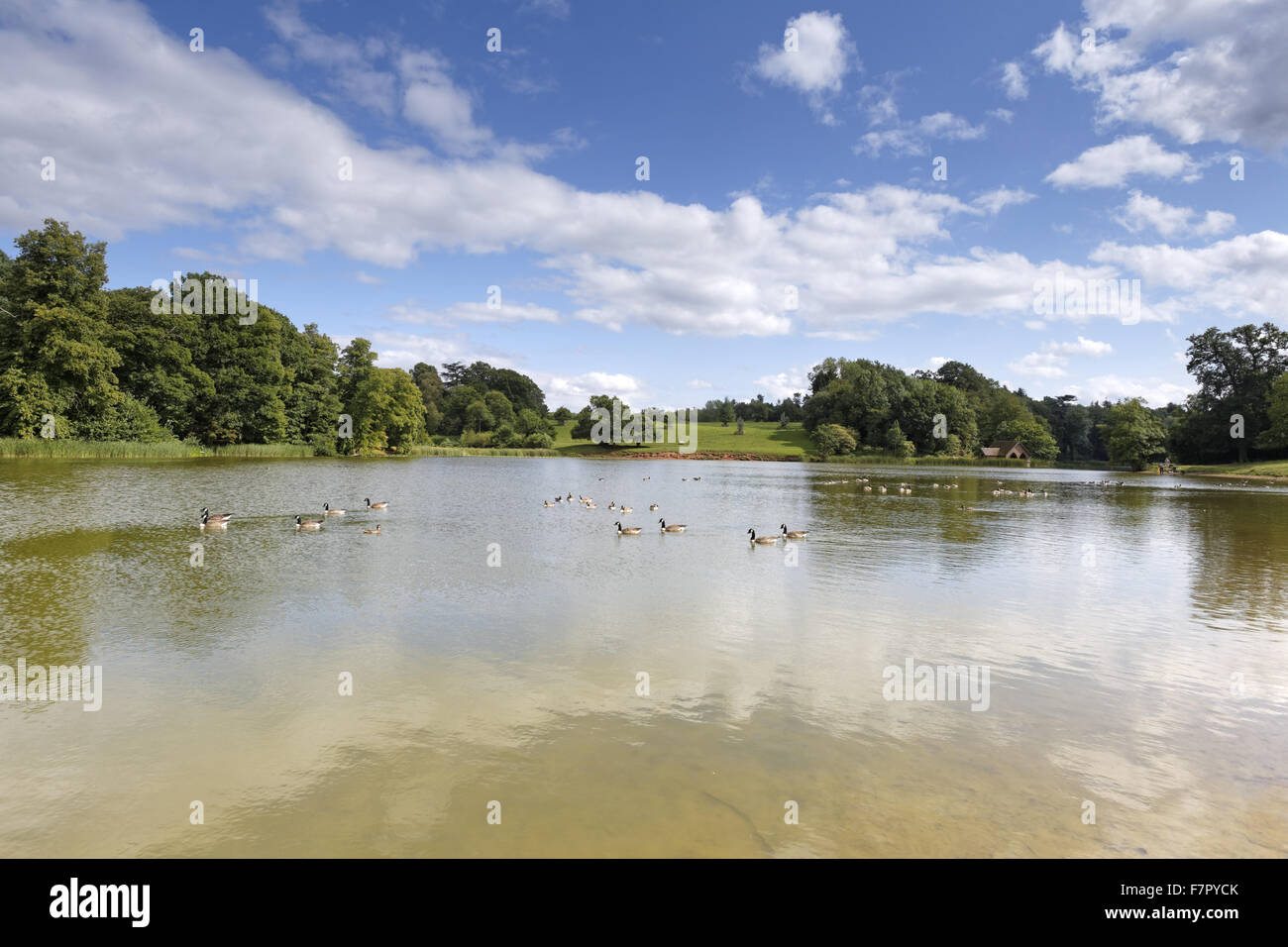 Big pool hi-res stock photography and images - Alamy