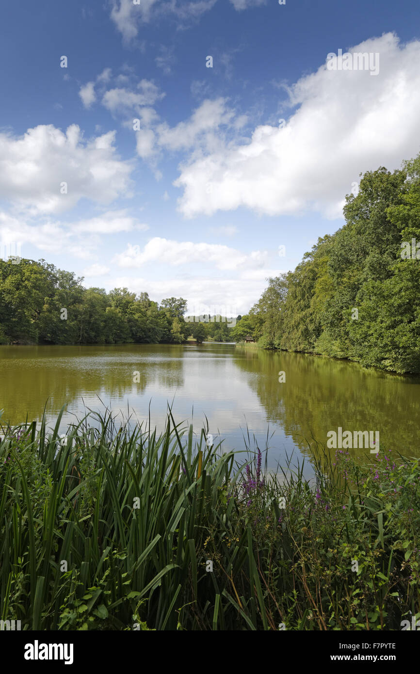 Big Pool on the Dudmaston Estate, Shropshire Stock Photo - Alamy