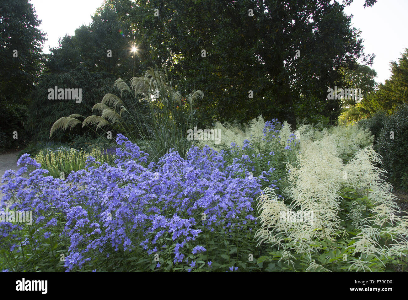 July border hi-res stock photography and images - Alamy