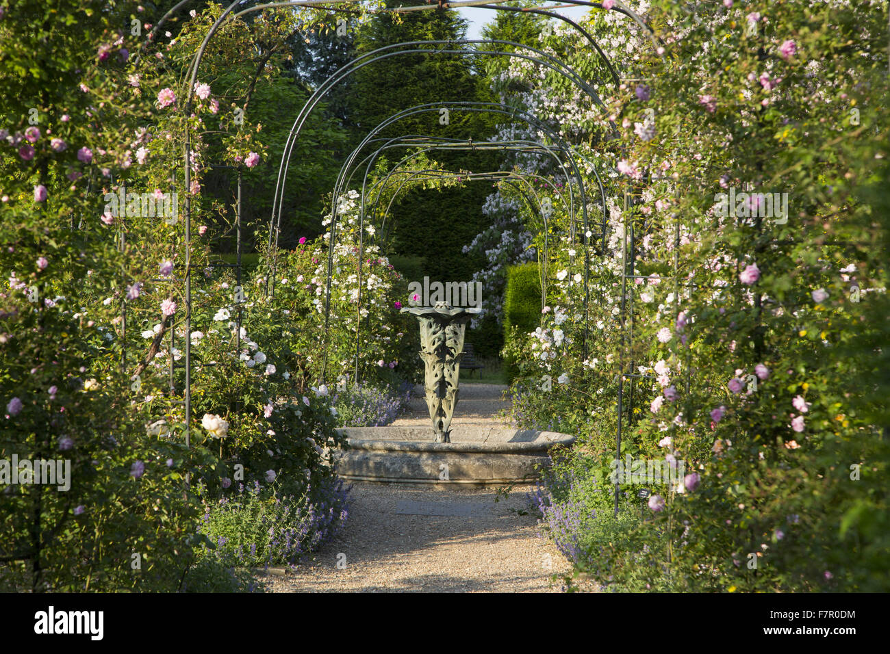 The Rose Garden at Nymans, West Sussex, in July. The Messel Fountain ...