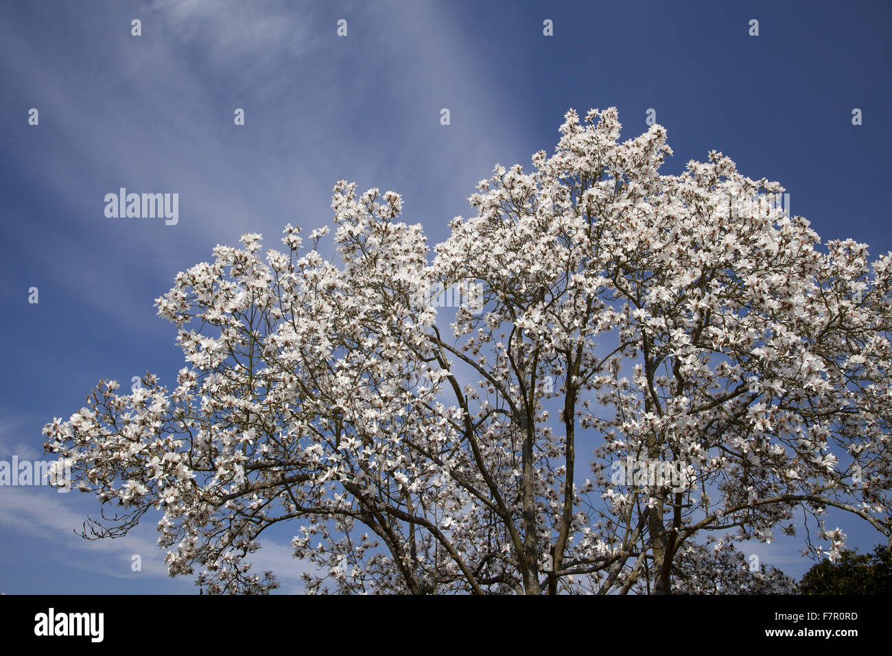 West sussex nursery hi-res stock photography and images - Alamy