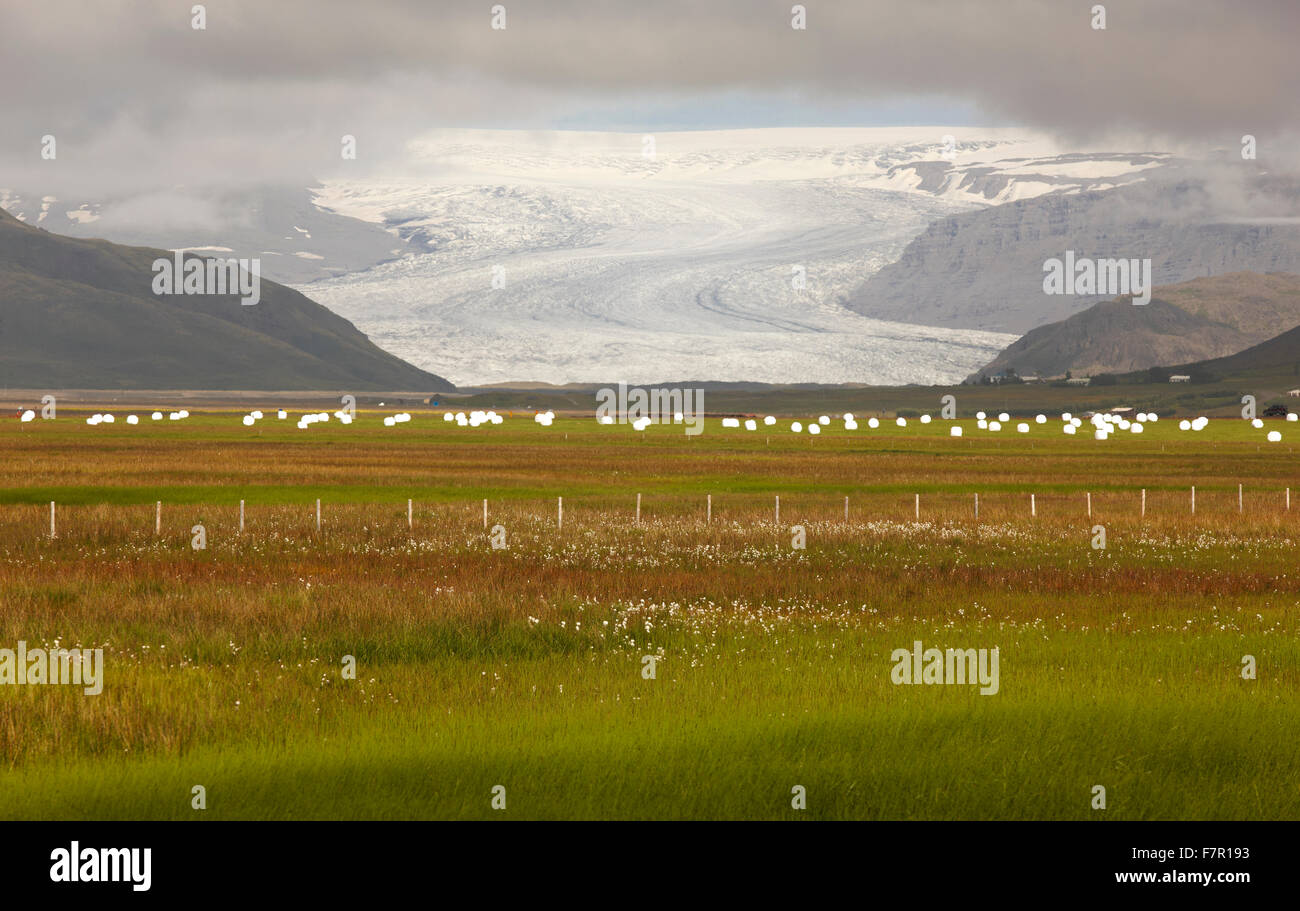 Plain formed by Flaajokul glacier and field in Iceland Stock Photo - Alamy