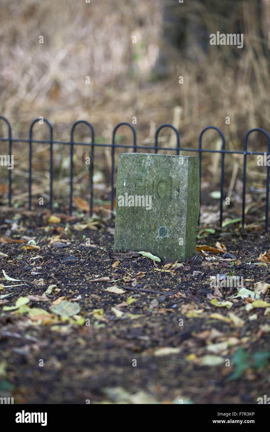 The Wilderness pet cemetery at Oxburgh Hall, Norfolk. Oxburgh was built ...