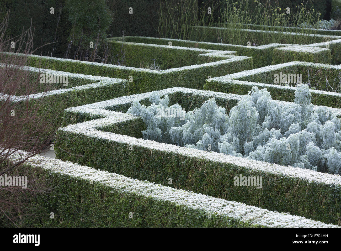 A winter's day in the White Garden at Sissinghurst Castle, Kent. Vita ...