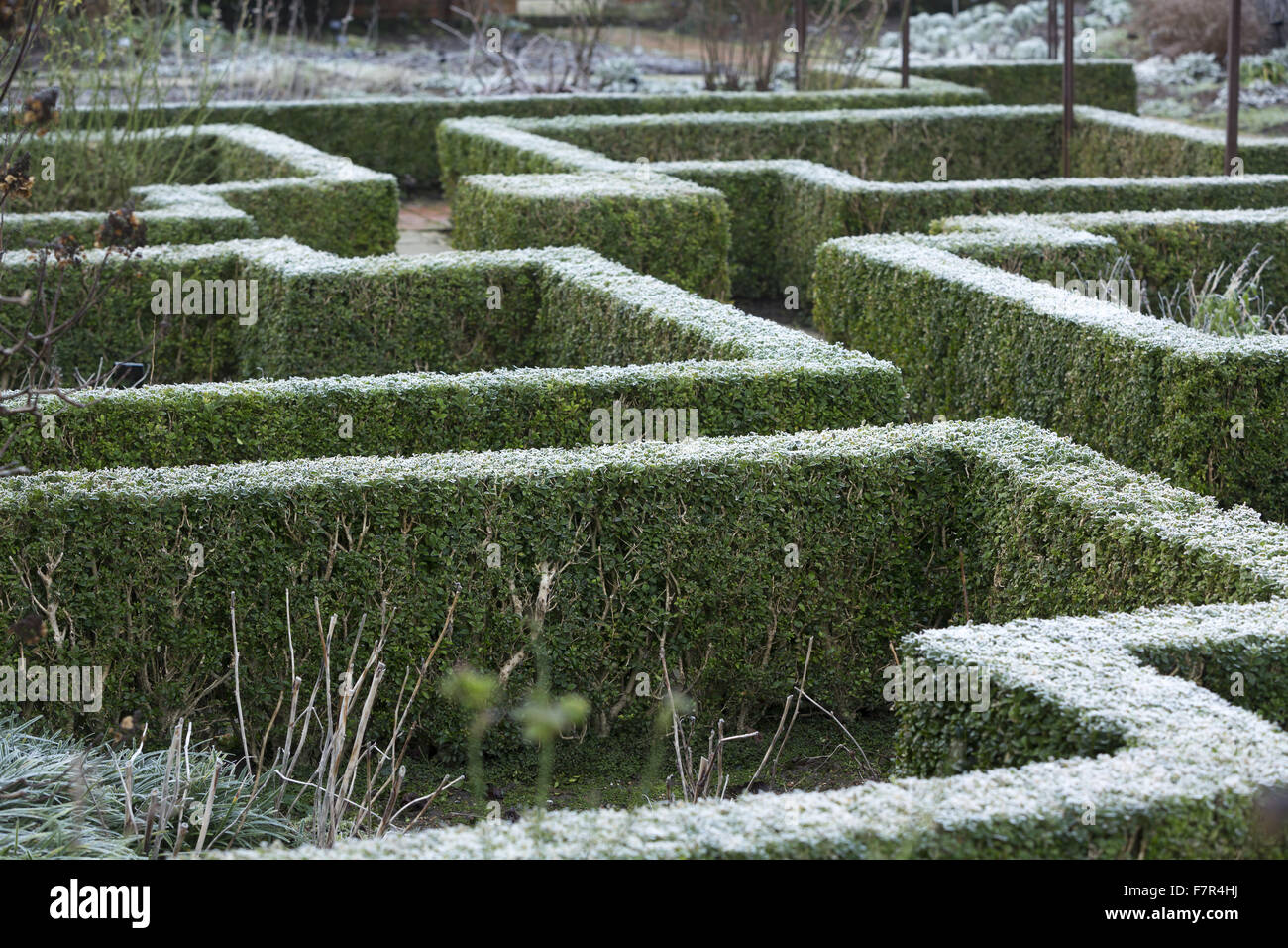 A winter's day in the White Garden at Sissinghurst Castle, Kent. Vita ...