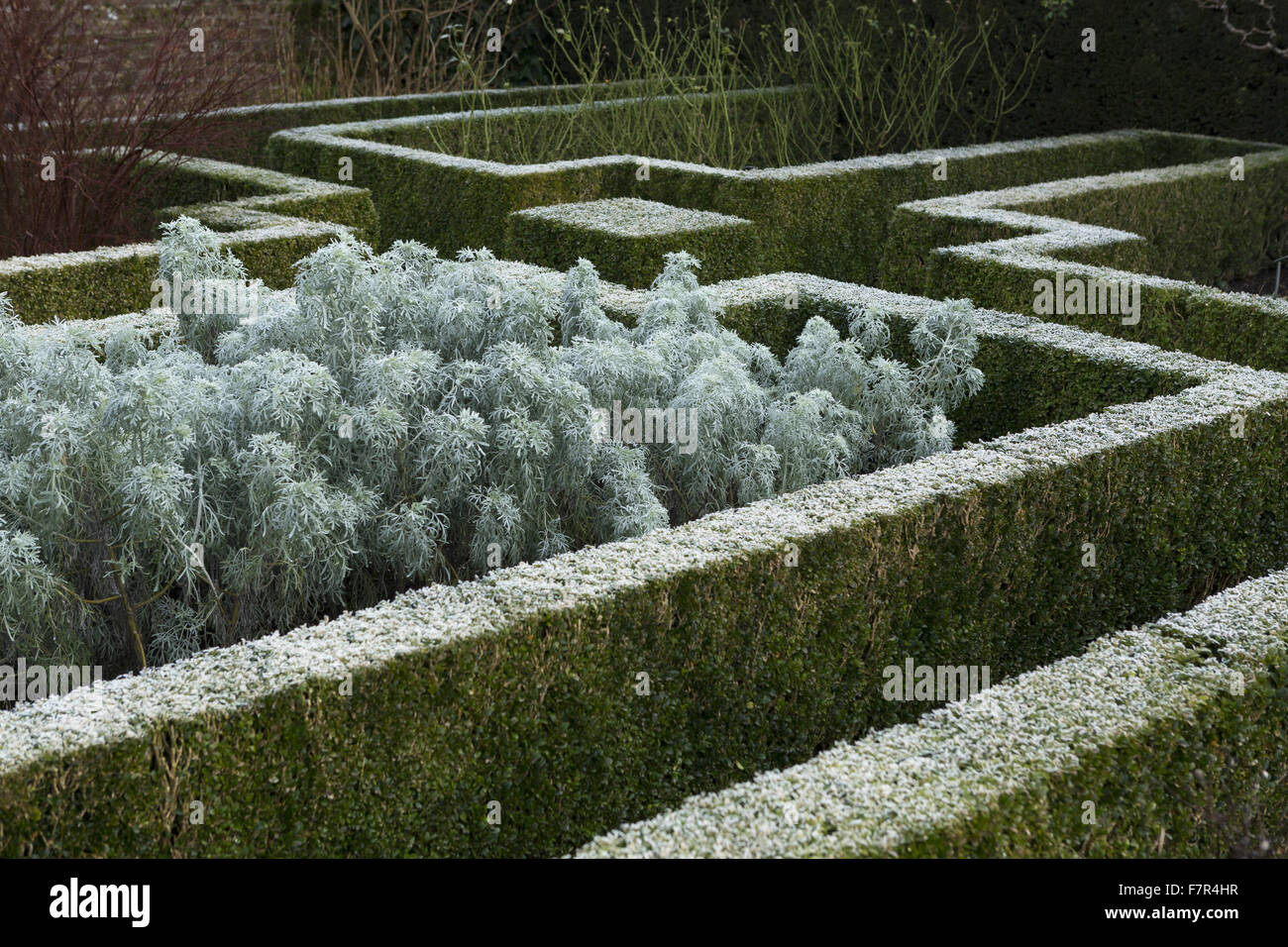 A winter's day in the White Garden at Sissinghurst Castle, Kent. Vita ...