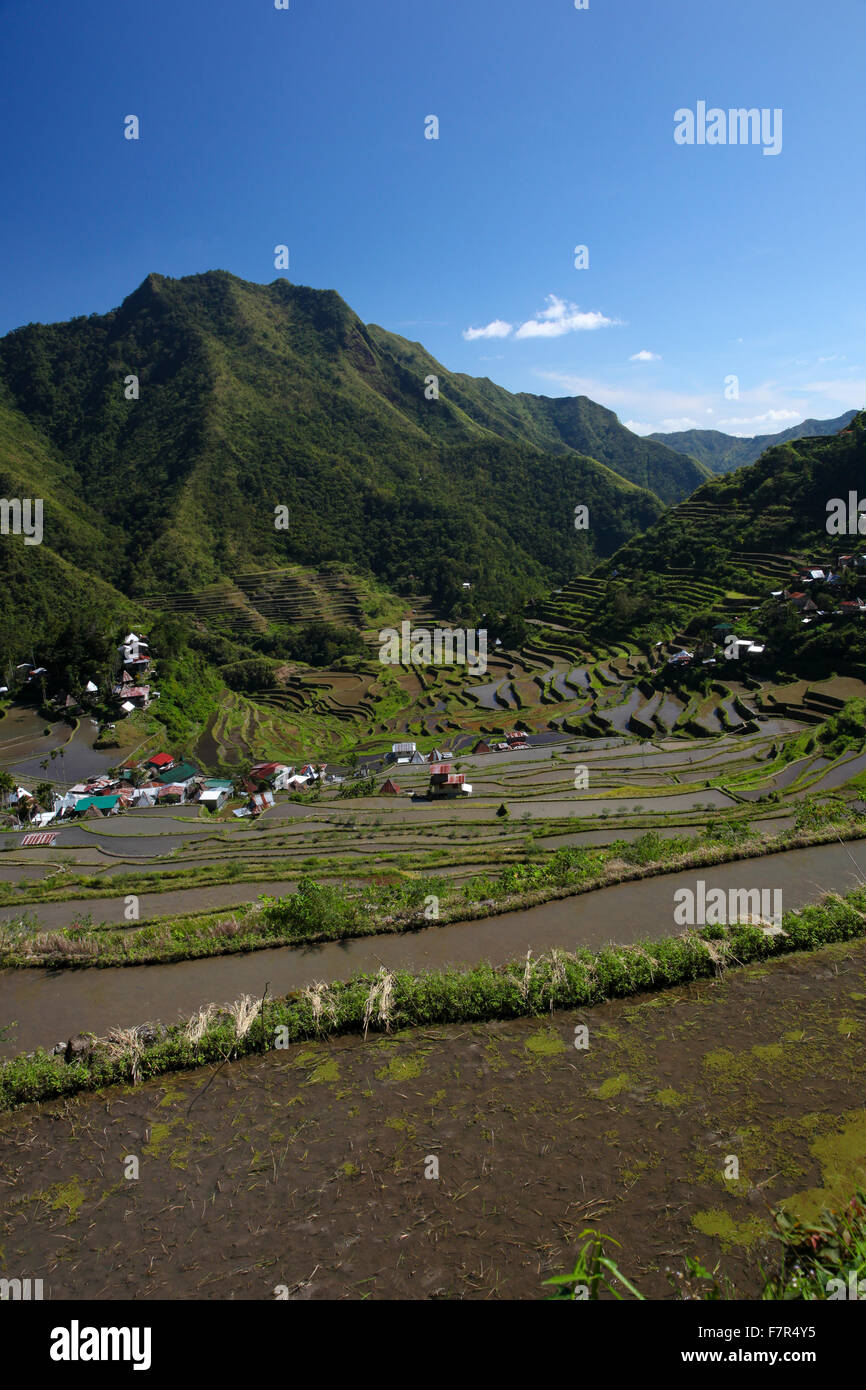 UNESCO heritage rice terraces in Batad Philippines Stock Photo - Alamy