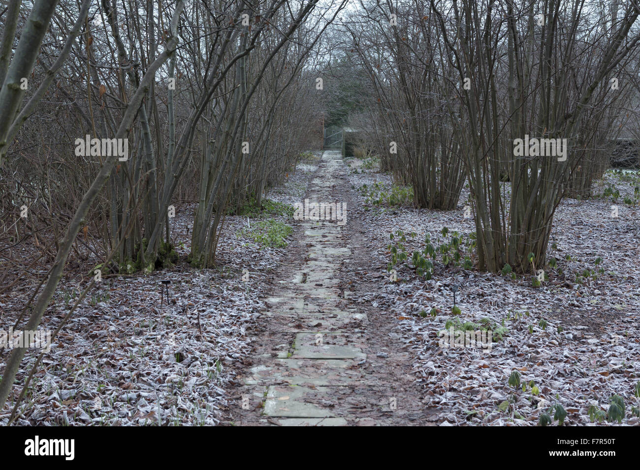 Jmsissinghurstwinter2014 hi-res stock photography and images - Alamy