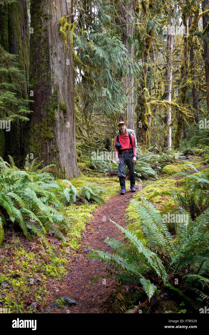 Damp rainforest trail hi-res stock photography and images - Alamy