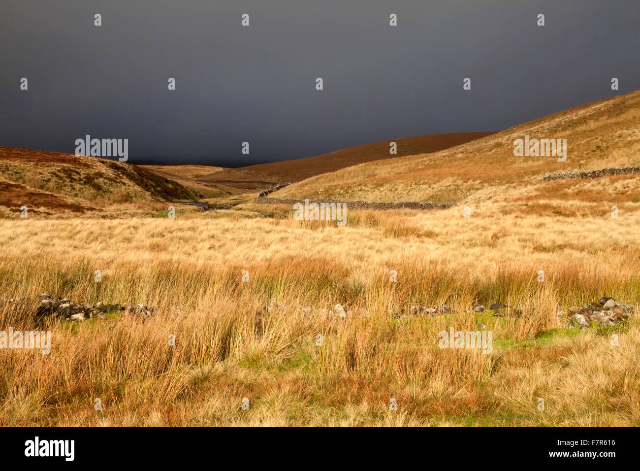 Winter Light on Horton Moor Horton in Ribblesdale North Yorkshire ...