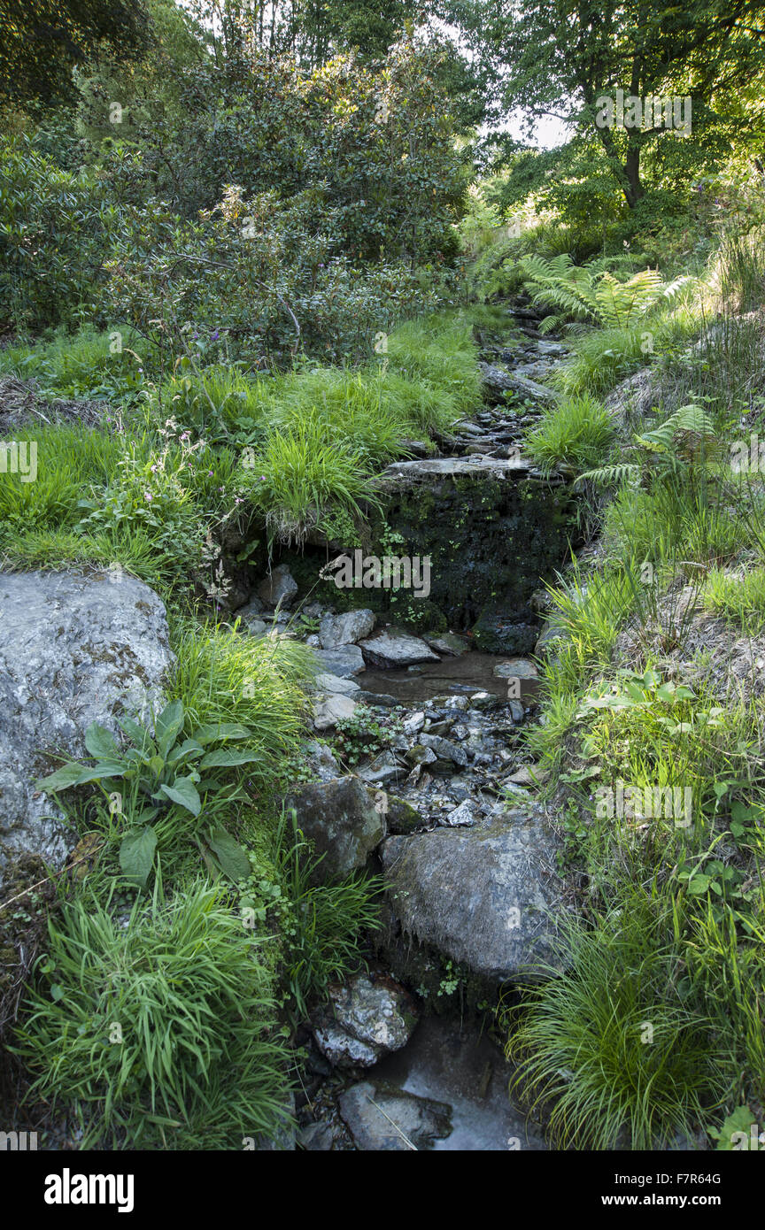 Stream in the garden at Coleton Fishacre, Devon. The garden at Coleton ...