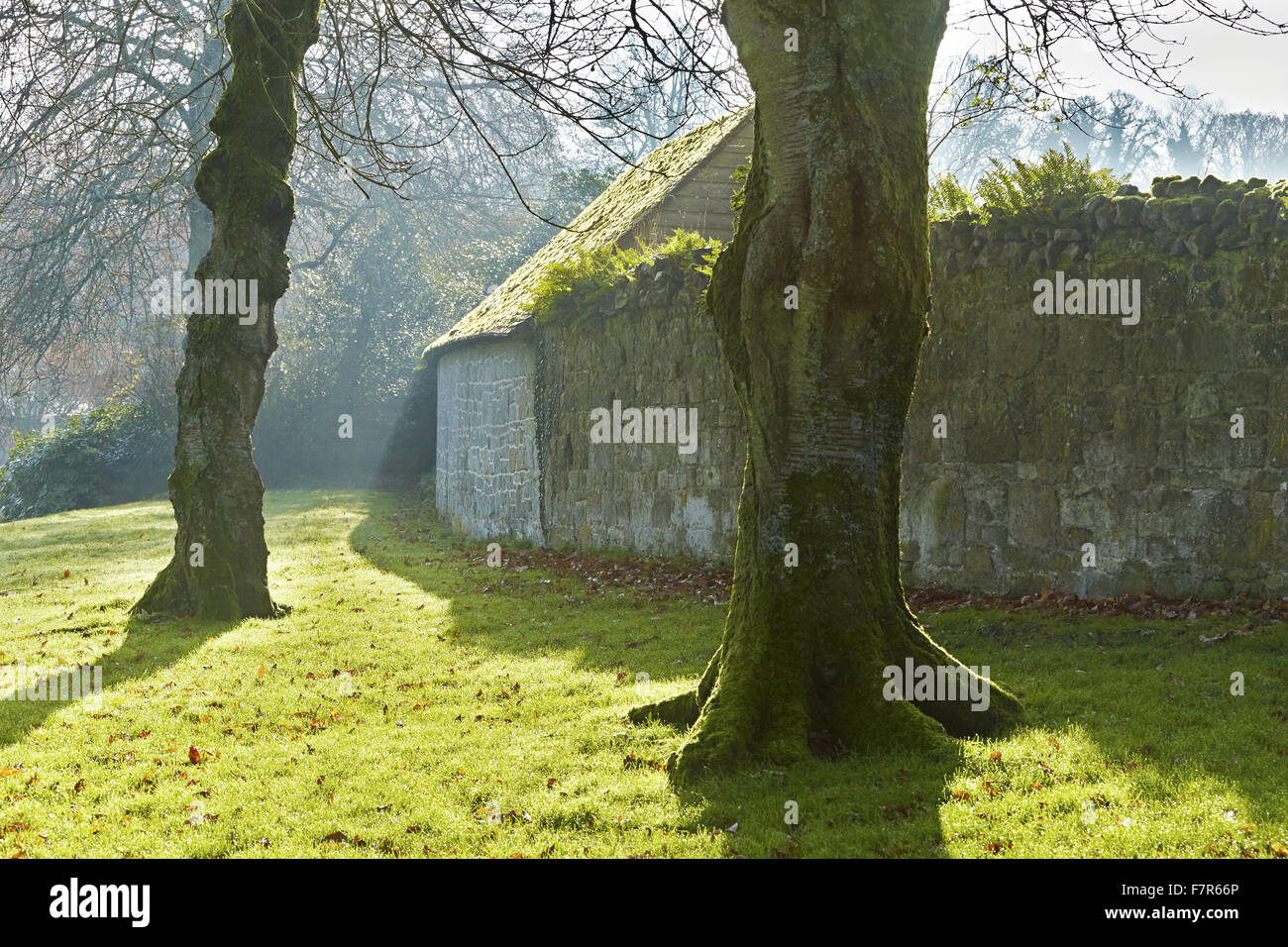 The garden in winter at Stourhead, Wiltshire. When it first opened in ...
