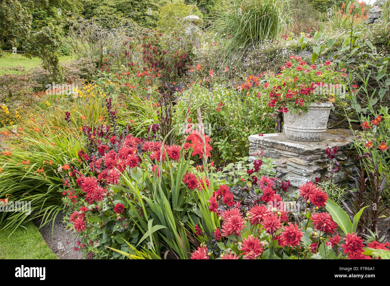 Border below the house at Coleton Fishacre, Devon. Plants include ...