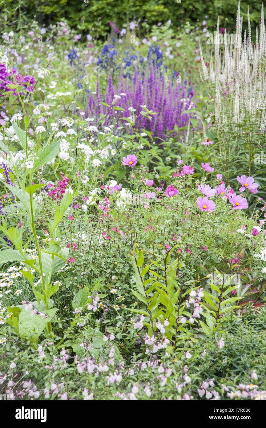 The Rill Garden at at Coleton Fishacre, Devon. Plants include Dahlia ...