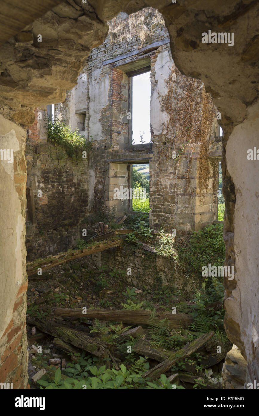 Inside the ruined hall at Gibside, Tyne & Wear. Gibside was created by ...