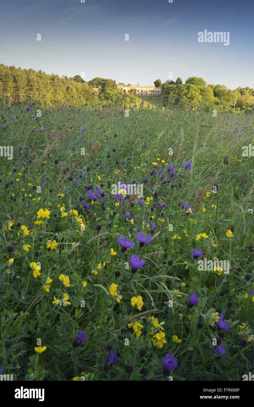Gibside hall hi-res stock photography and images - Alamy