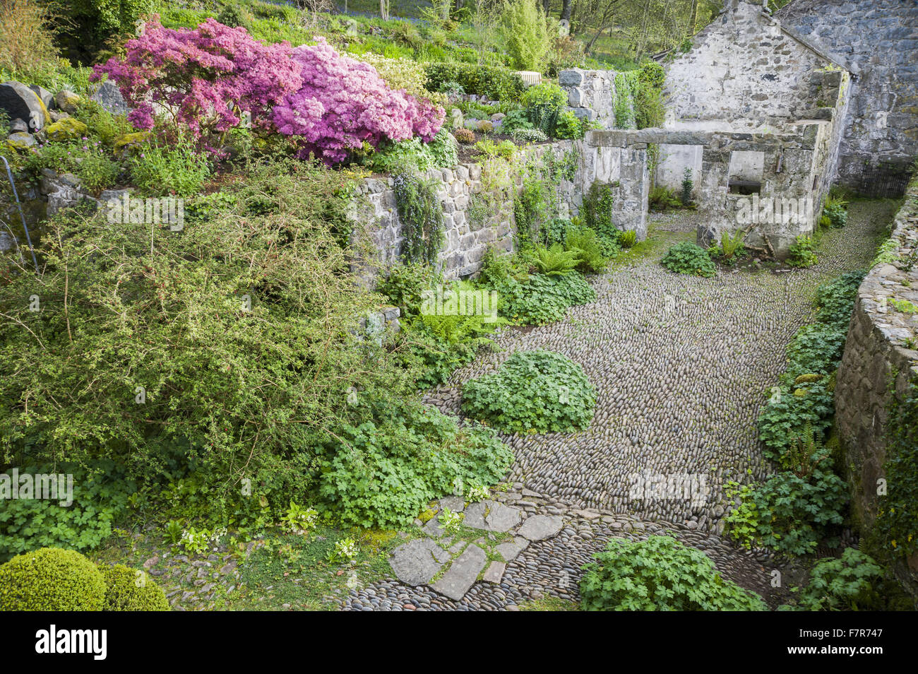 View over the cobbled courtyard with ruined buildings beyond at at Plas ...