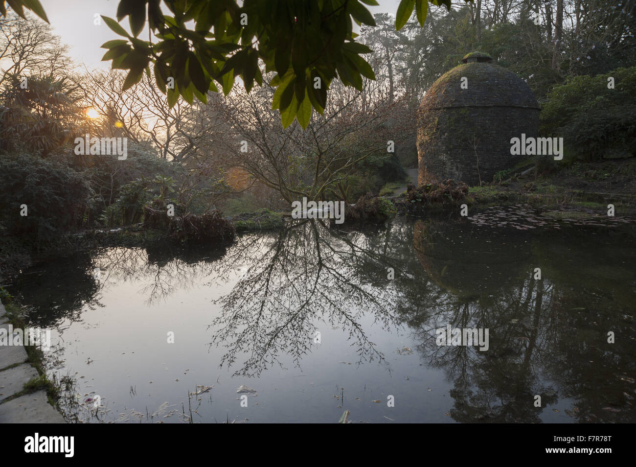 Medieval stew pond and dovecote in the valley garden at Cotehele ...