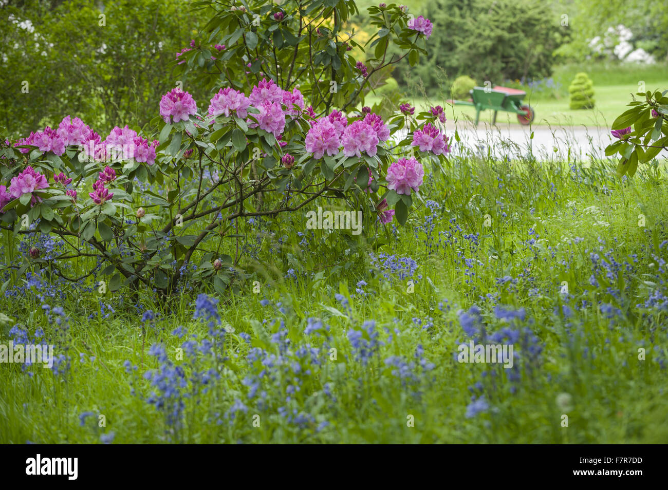Rufford old hall hi-res stock photography and images - Alamy