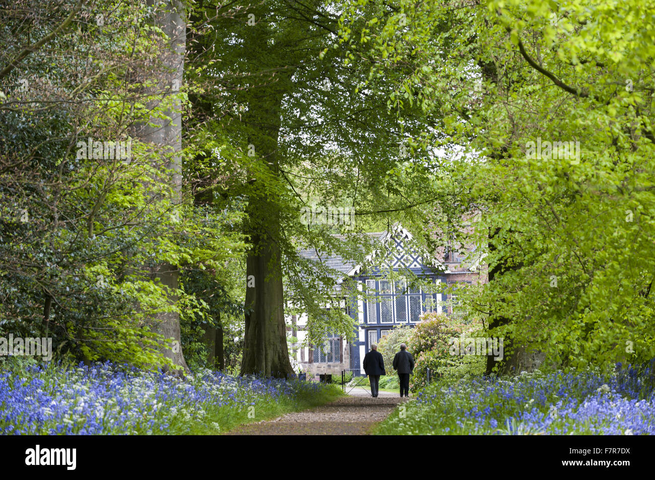 The gardens in the spring at Rufford Old Hall, Lancashire. Rufford Old ...